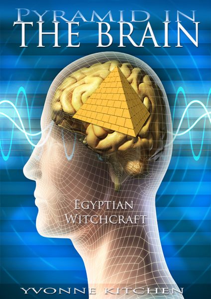 Pyramid in the Brain - Fruitful Vine Store